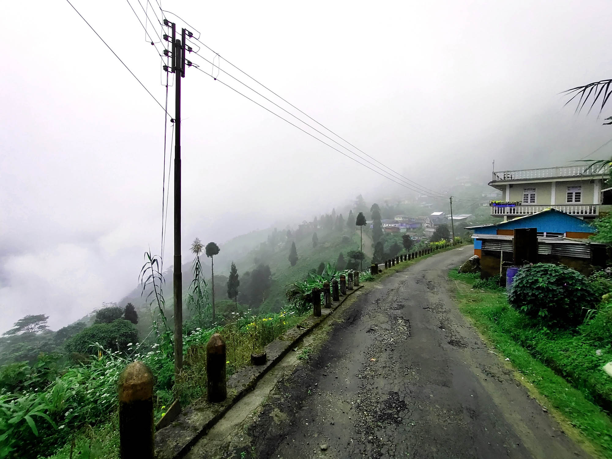 Rangaroon - Mystic Mist On The Green Tea Valley - Clickstory