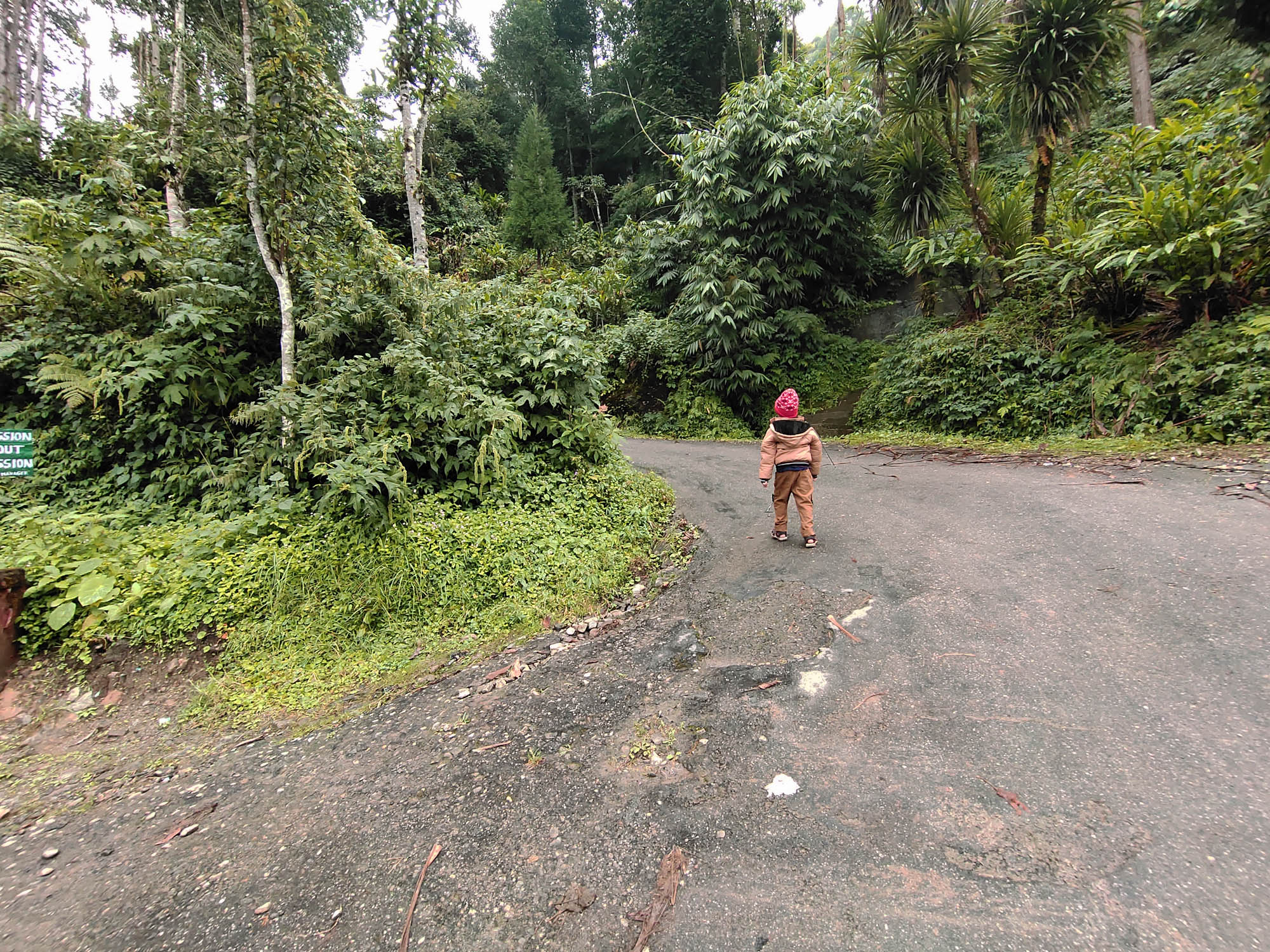 Rangaroon - Mystic Mist On The Green Tea Valley - Clickstory